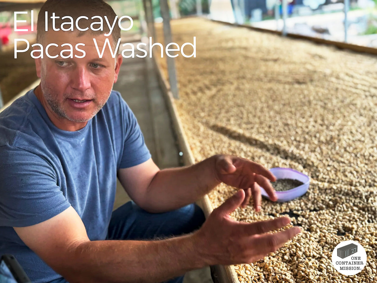 ワンコンテナミッション Honduras – 27 COFFEE ROASTERS