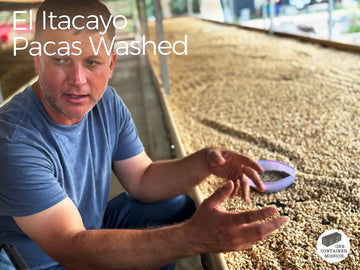 ワンコンテナミッション Honduras – 27 COFFEE ROASTERS