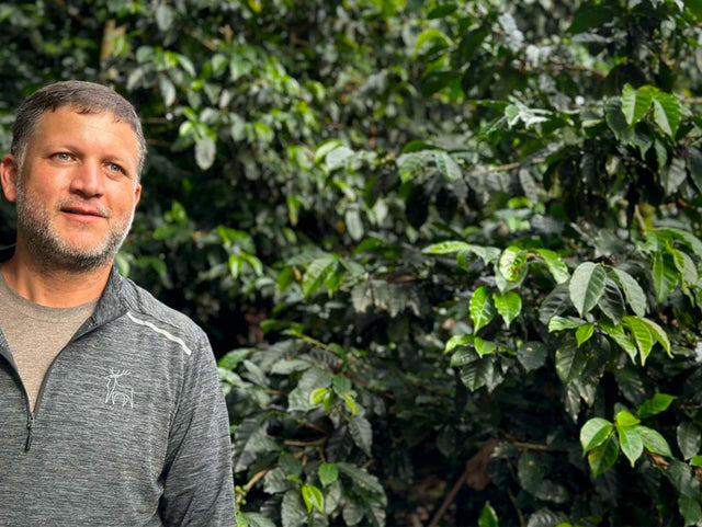 Geisha – 27 COFFEE ROASTERS